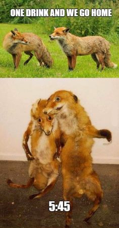 30 Memes That Accurately Describe Your Weekend