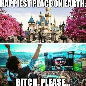 25 Memes That Perfectly Describe Festival Season