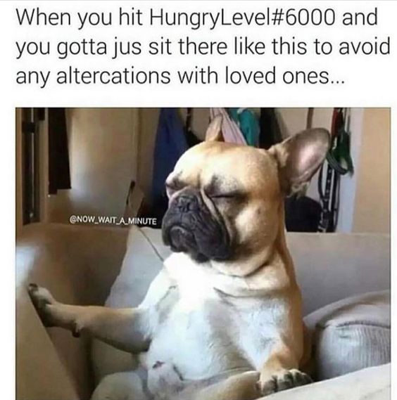 30 Memes For You If You're Constantly Hangry All The Time