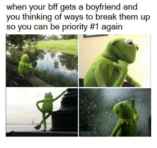 16 Memes That Perfectly Describe When Your BFF Gets a BF