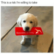 31 Memes For Your Dog-Obsessed Friends