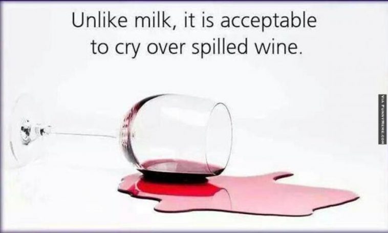 35 Wine Memes For Anyone Who Loves Pairing Their Wine With Laughter