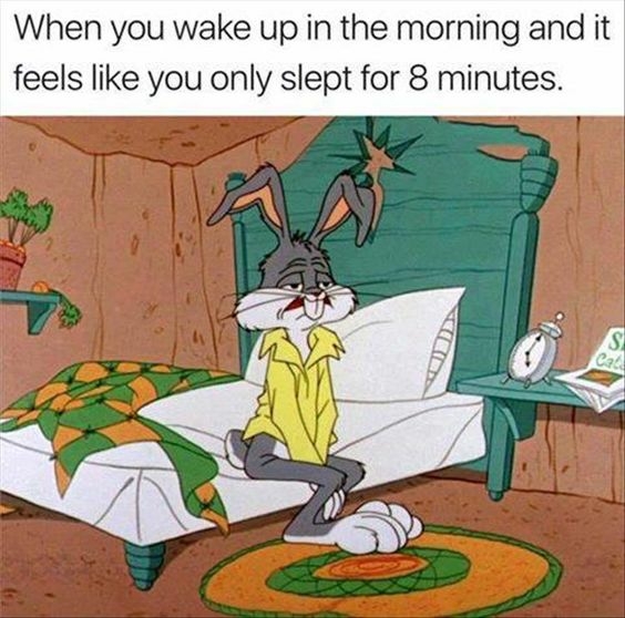 34 Memes For Everyone Who's Obsessed With Sleeping