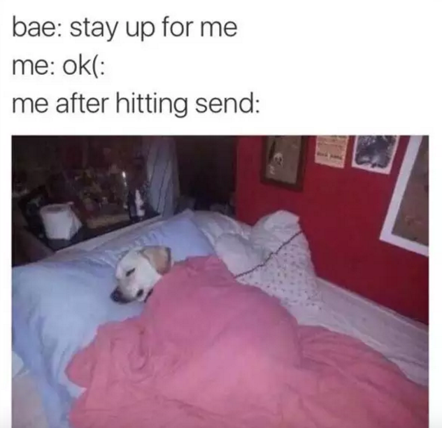 31 Petty Memes That Are So Real It Hurts Your Soul