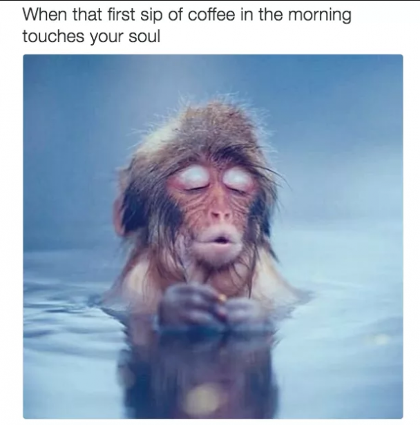 20 Memes Only Coffee Addicts Will Truly Understand
