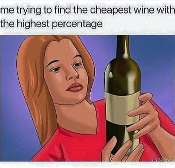 25 Memes For You & Your Slight Drinking Problem
