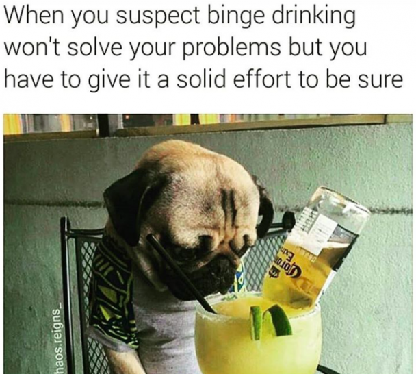 25 Memes For You & Your Slight Drinking Problem