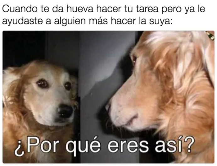 17 memes para aquellas personas que todos les da hueva