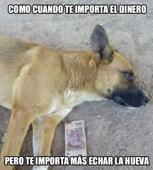 17 memes para aquellas personas que todos les da hueva