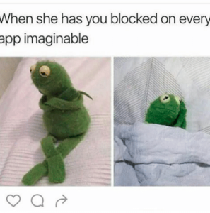 19 Memes Anyone Who's Been Blocked On Social Media Will Understand