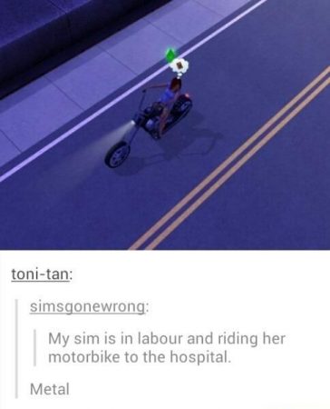 24 Memes You'll Only Find Funny If You Played The Sims As A Child