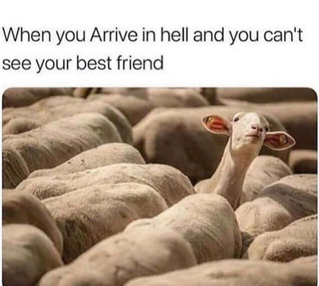 Just 30+ Of The Funniest And Most Relatable Memes In Internet History